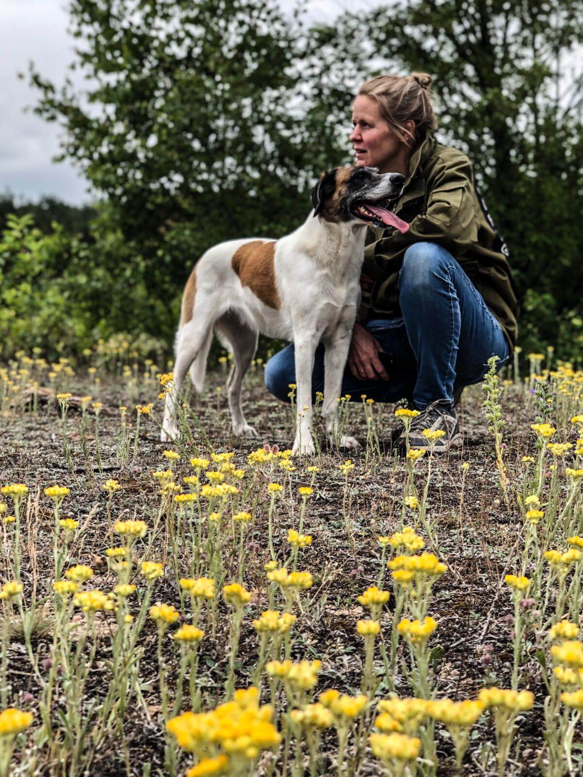 Hundetraining Berlin I Dein Hund. Dein individuelles Training.