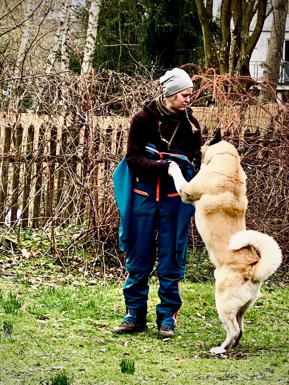 Hundetraining Berlin I Dein Hund. Dein individuelles Training.