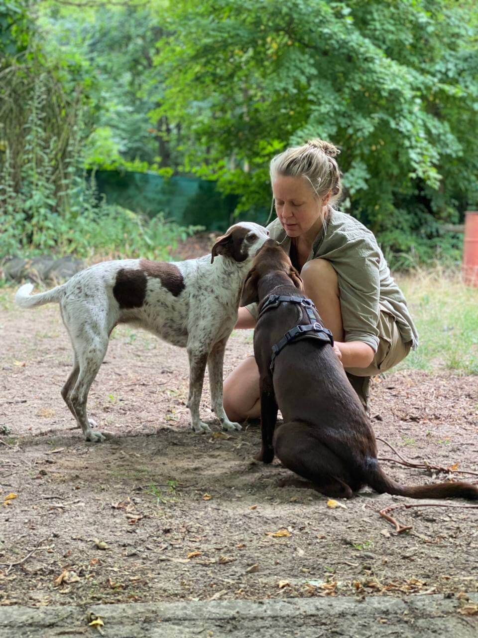 Hundetraining Berlin I Dein Hund. Dein individuelles Training.